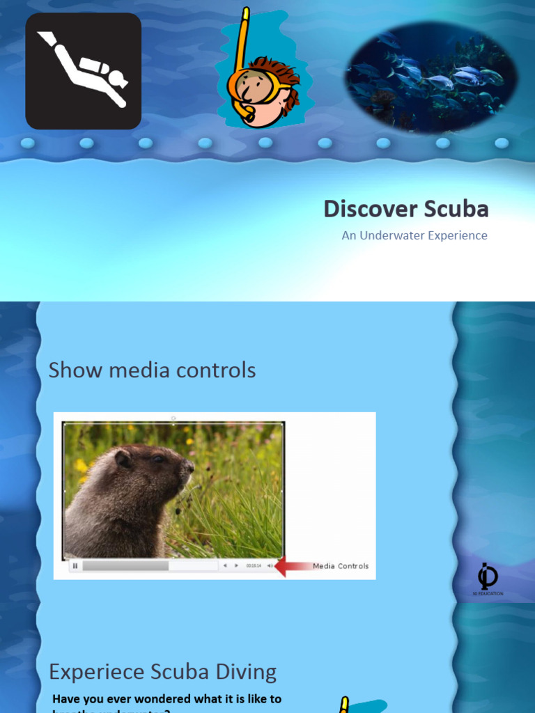 Scuba Diving Experience Course | PDF