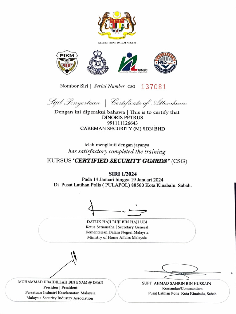 CSG Careman KK | PDF