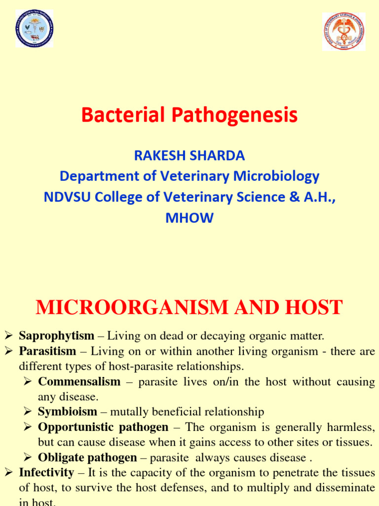 Bacterial Pathogenesis | PDF | Lipopolysaccharide | Phagocyte