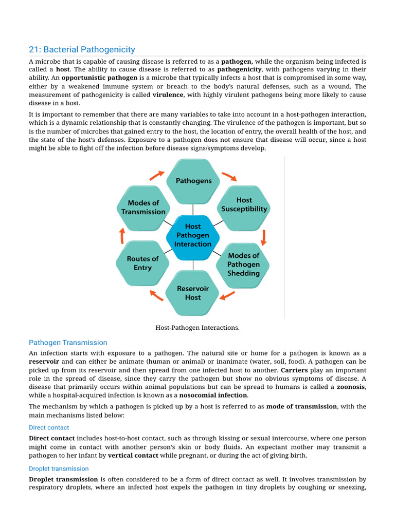 Bacterial Pathogenesis | PDF | Pathogen | Infection