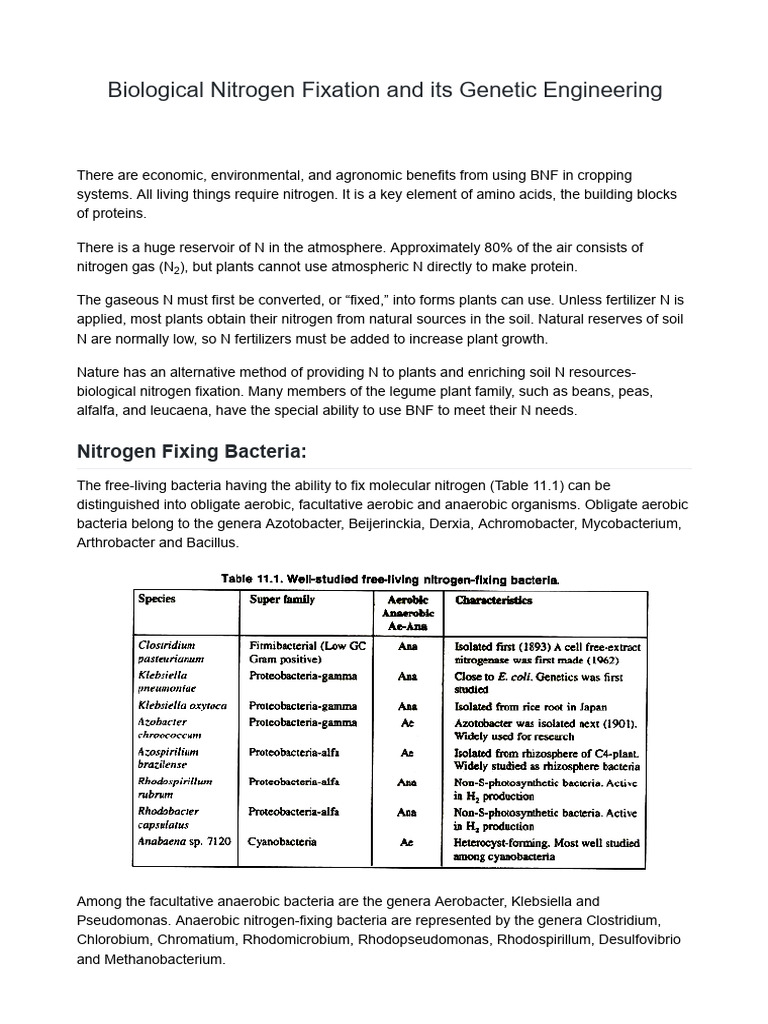 Biological Nitrogen Fixation | PDF