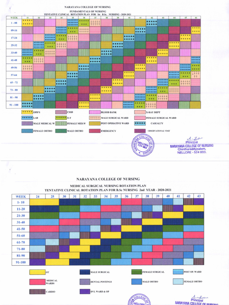 Bsc Clinical Rotation | PDF | Nursing | Health Care