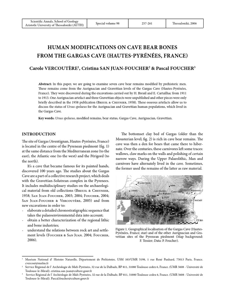 Human Modifications On Cave Bear Bones F | PDF | Pleistocene