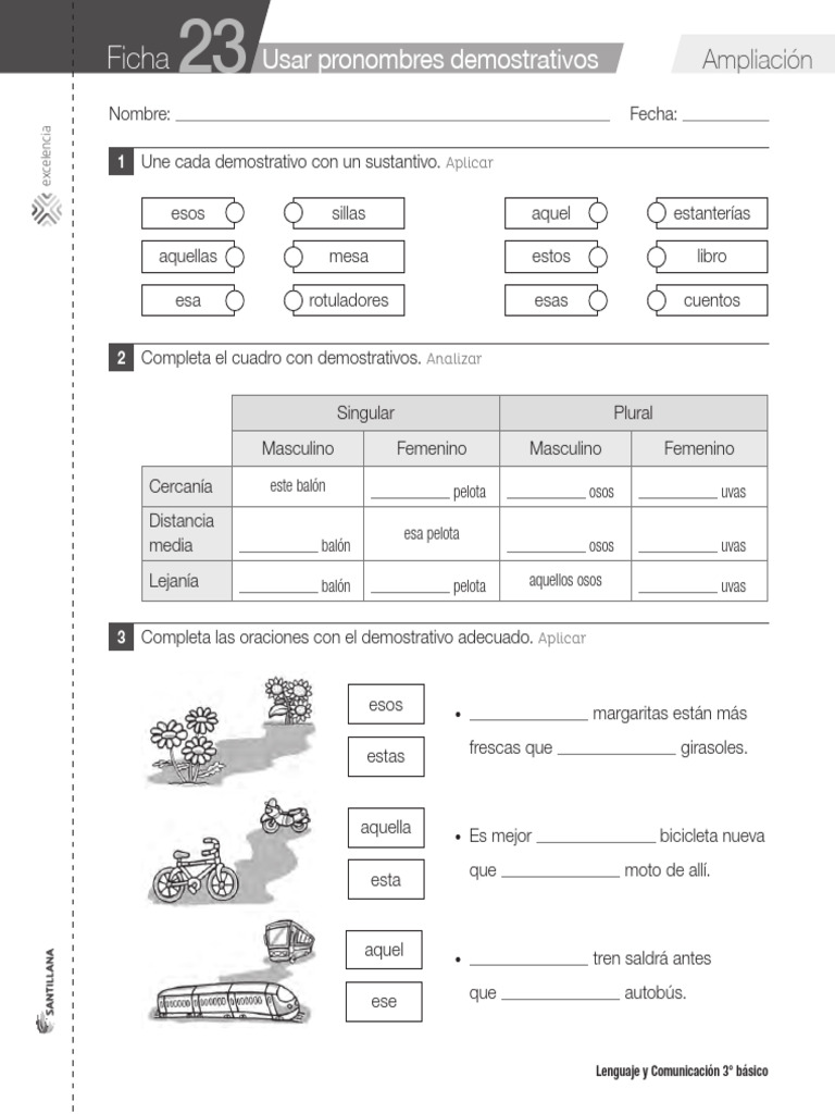 Demostrativos en Lenguaje 3° Básico | PDF | Género gramatical | Sintaxis