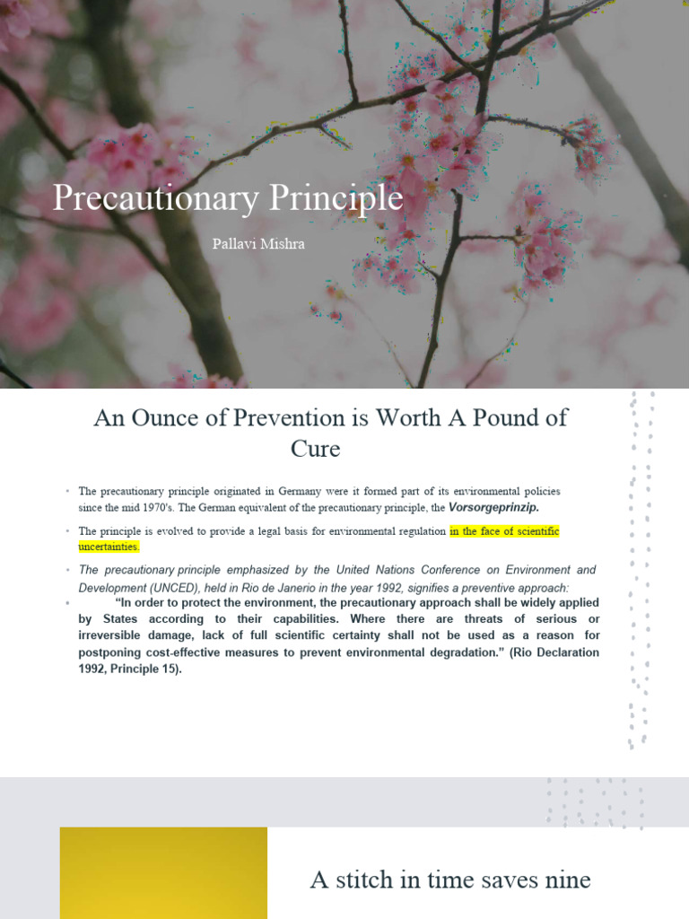 Precautionary Principle | PDF | Natural Environment