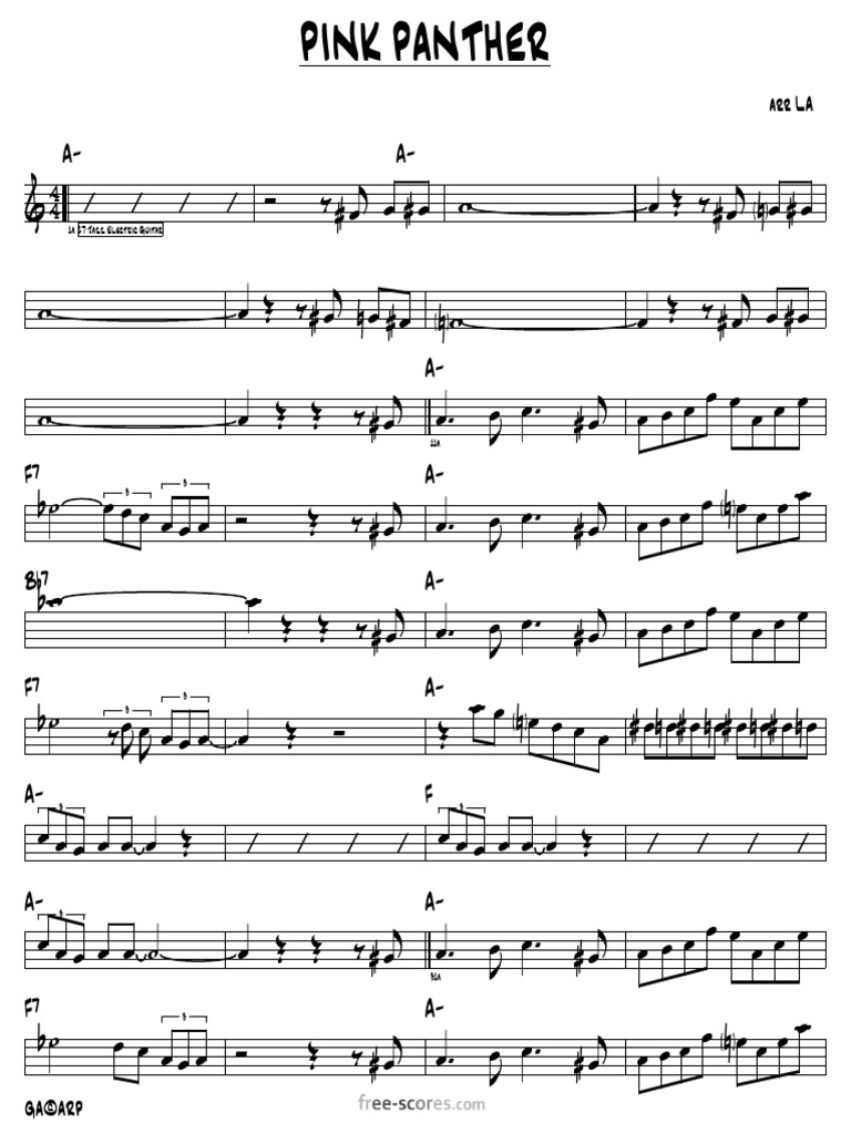 Pink Panther V2 | PDF