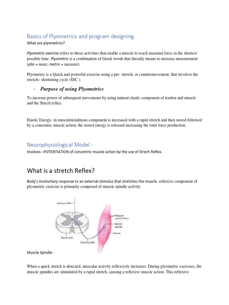 Basics of Plyometrics and Program Designing | PDF | Skeletal Muscle ...