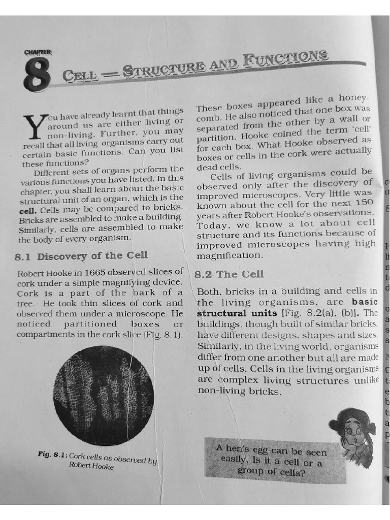 Biology Class 8 Textbook (Lesson-1) | PDF