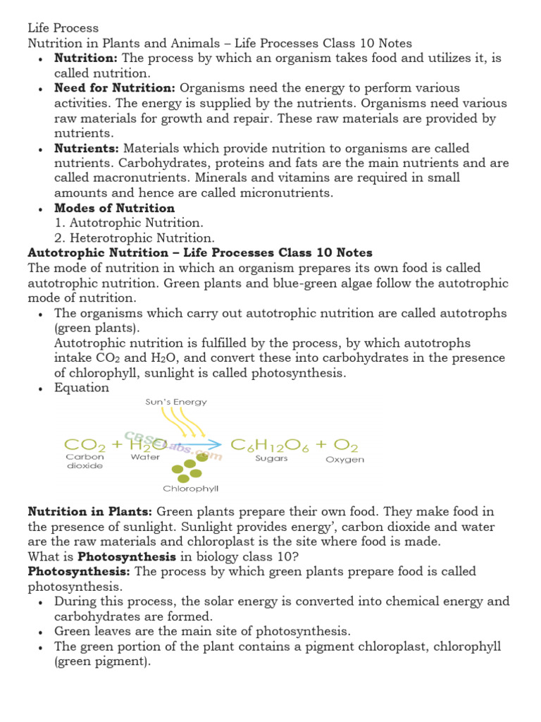 Class 10 Science All Notes | PDF | Cellular Respiration | Respiratory Tract