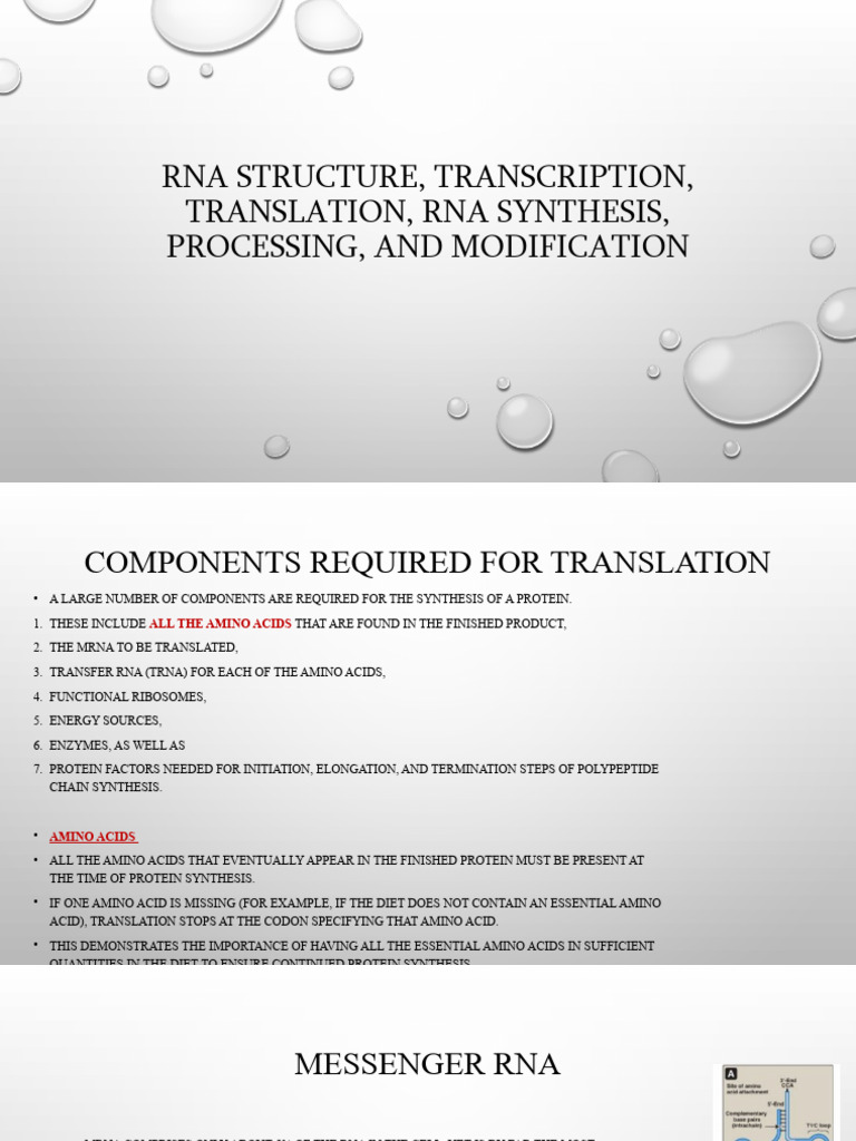 Rna Structure, Transcription, Translation, Rna Synthesis, Processing, and Modification | PDF ...