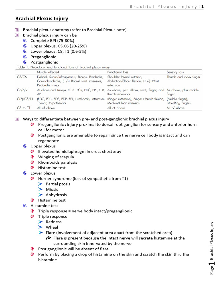 Brachial Plexus Injury Pdf Musculoskeletal System Medical Specialties