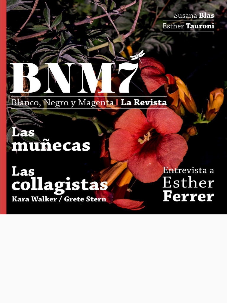 BNM 7 | PDF