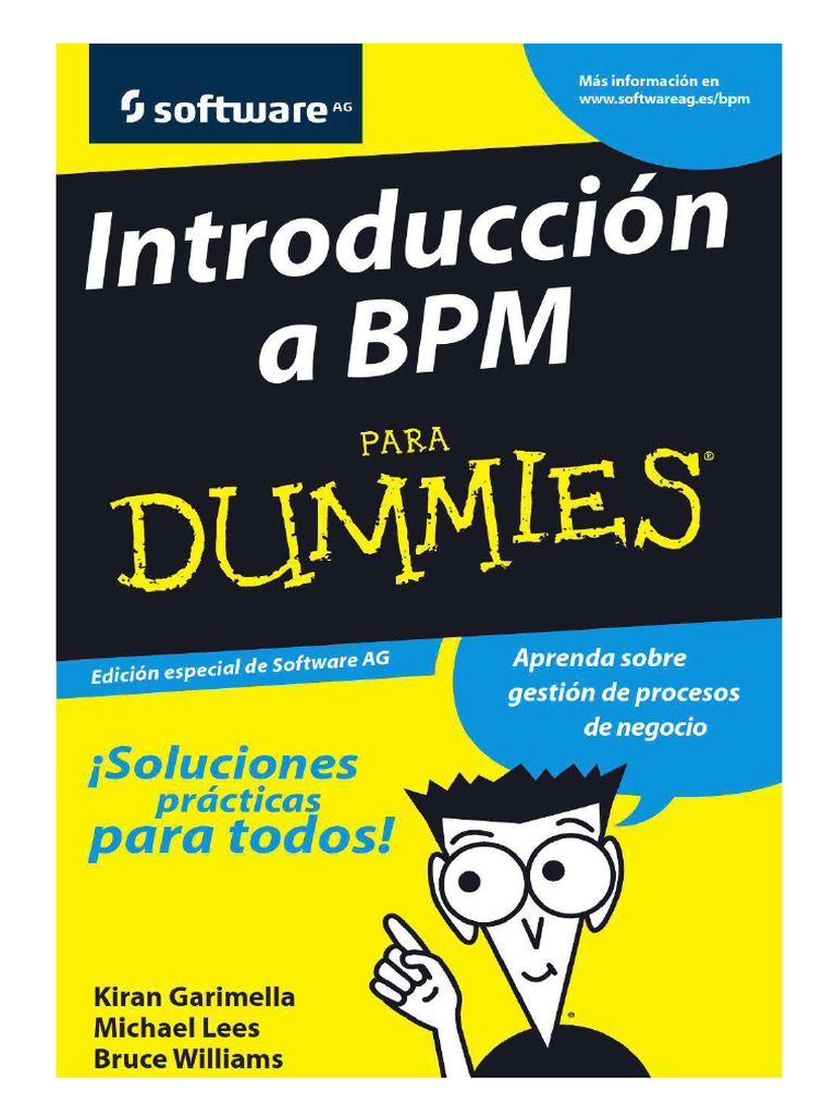 BPM Dummies - Compressed | PDF