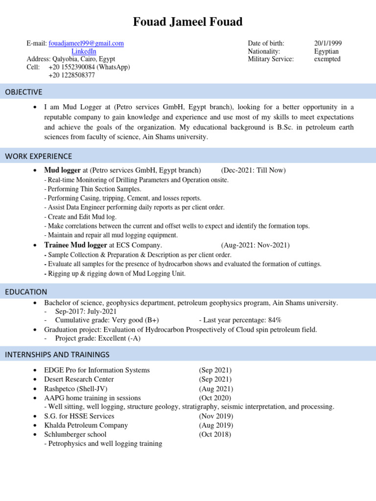 Fouad Jameel - Mud Logger - CV | PDF