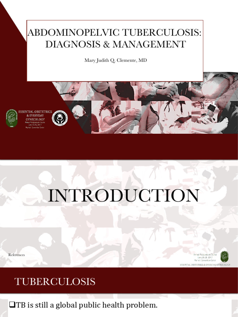 Abdominopelvic TB 3 | PDF | Tuberculosis | Causes Of Death
