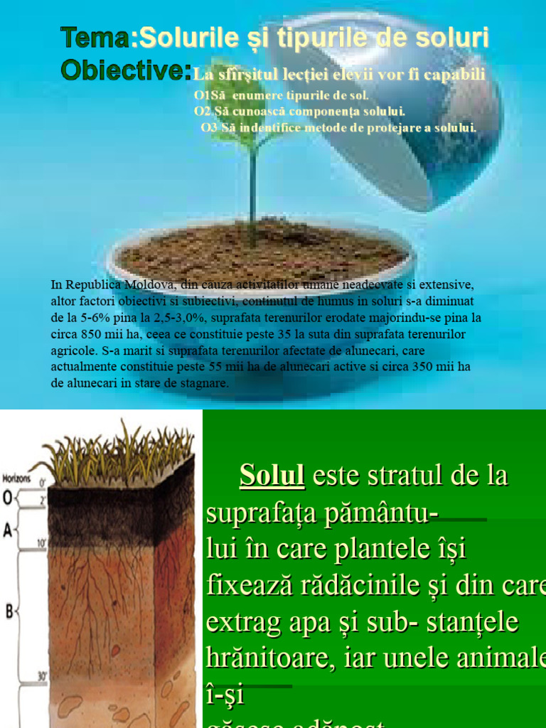 Solurile Tipuri de Soluri | PDF