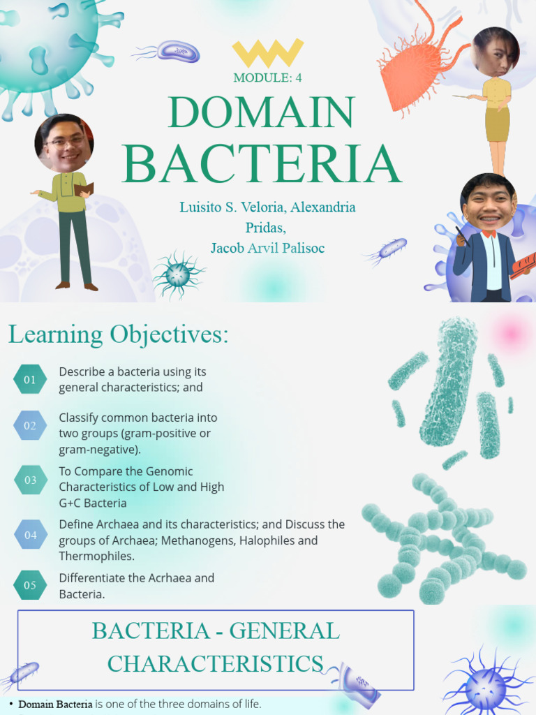 Bacteria and Archaea Overview Guide | PDF | Bacteria | Archaea