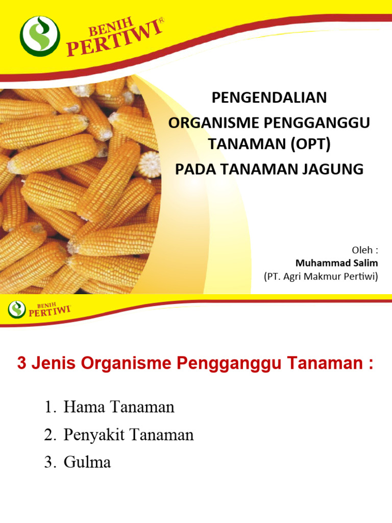 Pengendalian OPT pada Tanaman Jagung | PDF