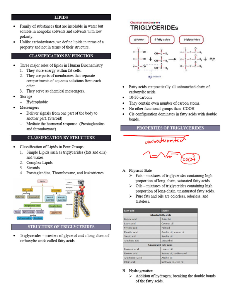 Lipids | PDF | Lipid | Cholesterol