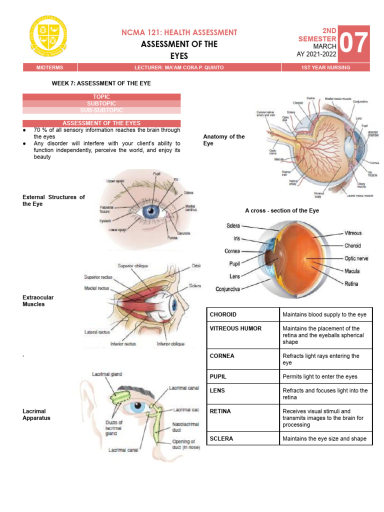 Week 7 - Assessment of The Eye | PDF | Eye | Human Eye