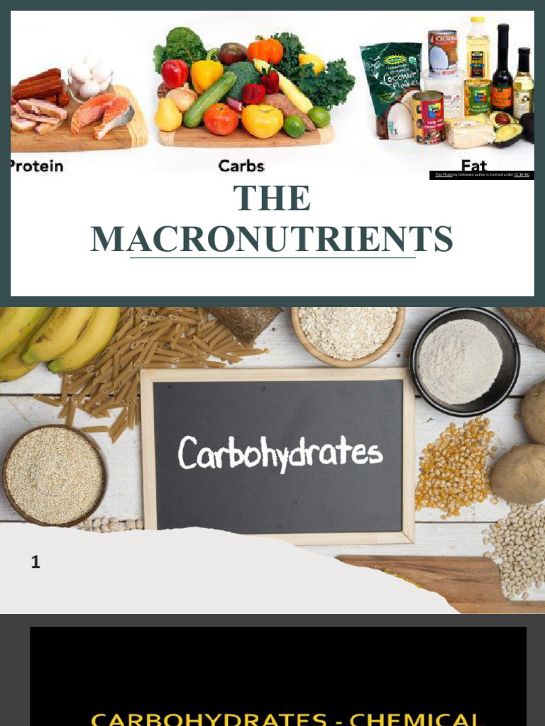Understanding Macronutrients: Functions & Sources | PDF | Amino Acid ...