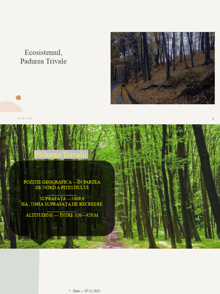 Ecosistemul, Padurea Trivale | PDF