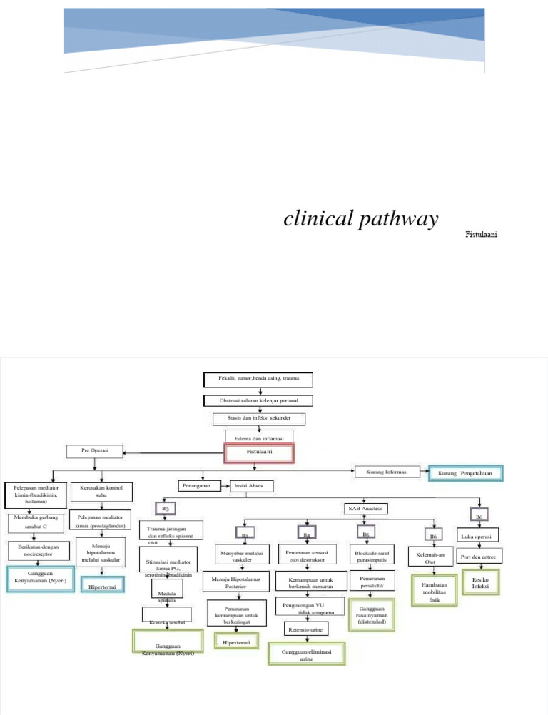 Clinical Pathway Fistulaani | PDF