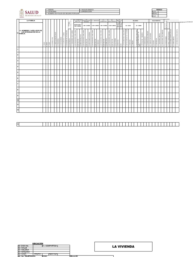Tarjeta Censal en Blanco 2021 | PDF | Causas de la muerte ...