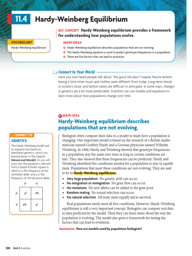 11.4 Hardy-Weinberg Equilibrium | PDF | Natural Selection | Evolution