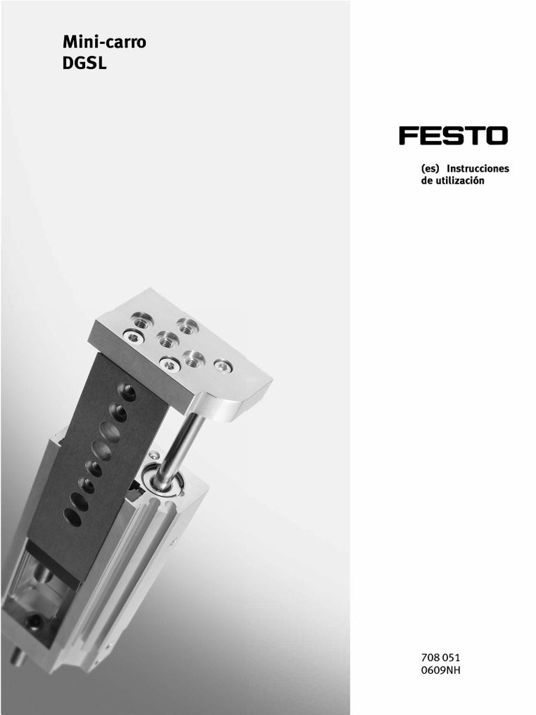 DGSL - Instrucciones de Utilizacion | PDF | Elementos metálicos | Química