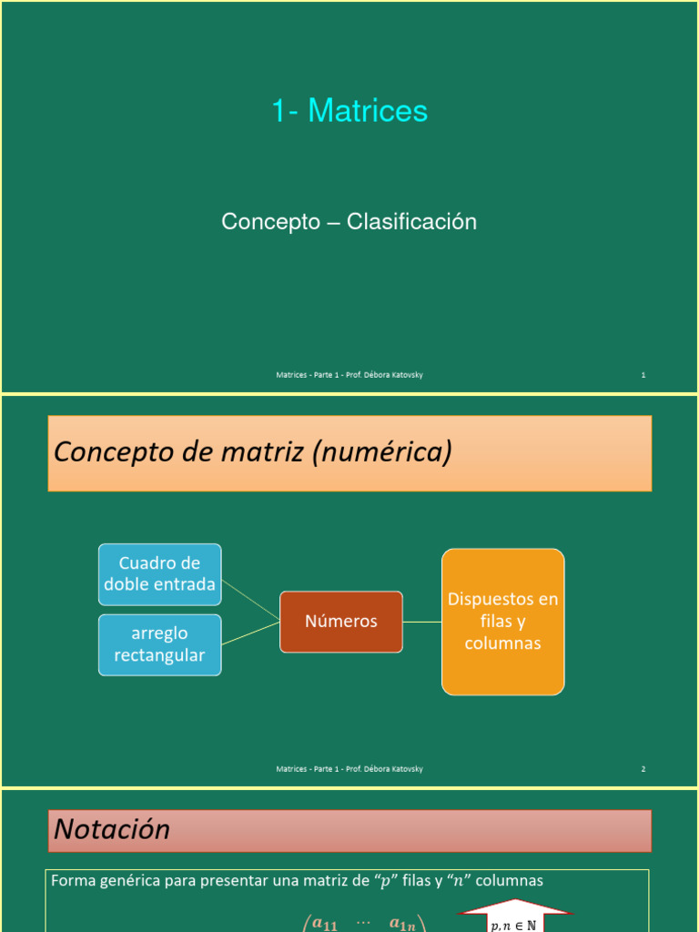 1 Matrices | PDF | Matriz (Matemáticas) | Análisis funcional