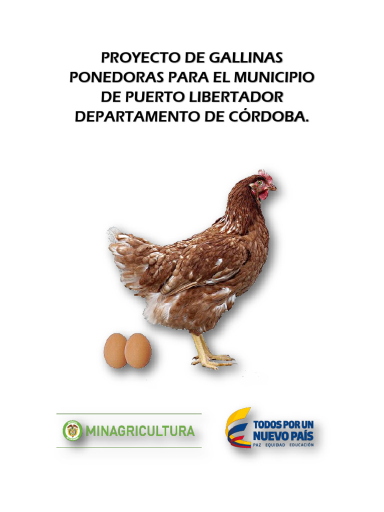 Proyecto Gallinas Ponedoras MUNICIPIO DE PUERTO LIBERTADOR 1 | PDF