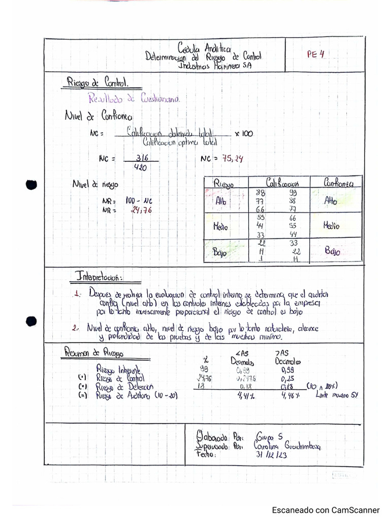 Pe4 - Riesgo de Control Resultado | PDF