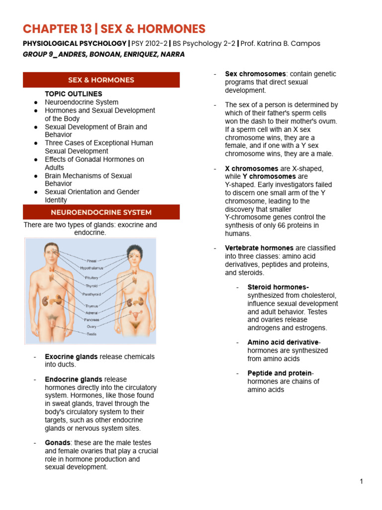 CH13 GRP9 Handouts | Download Free PDF | Androgen | Puberty