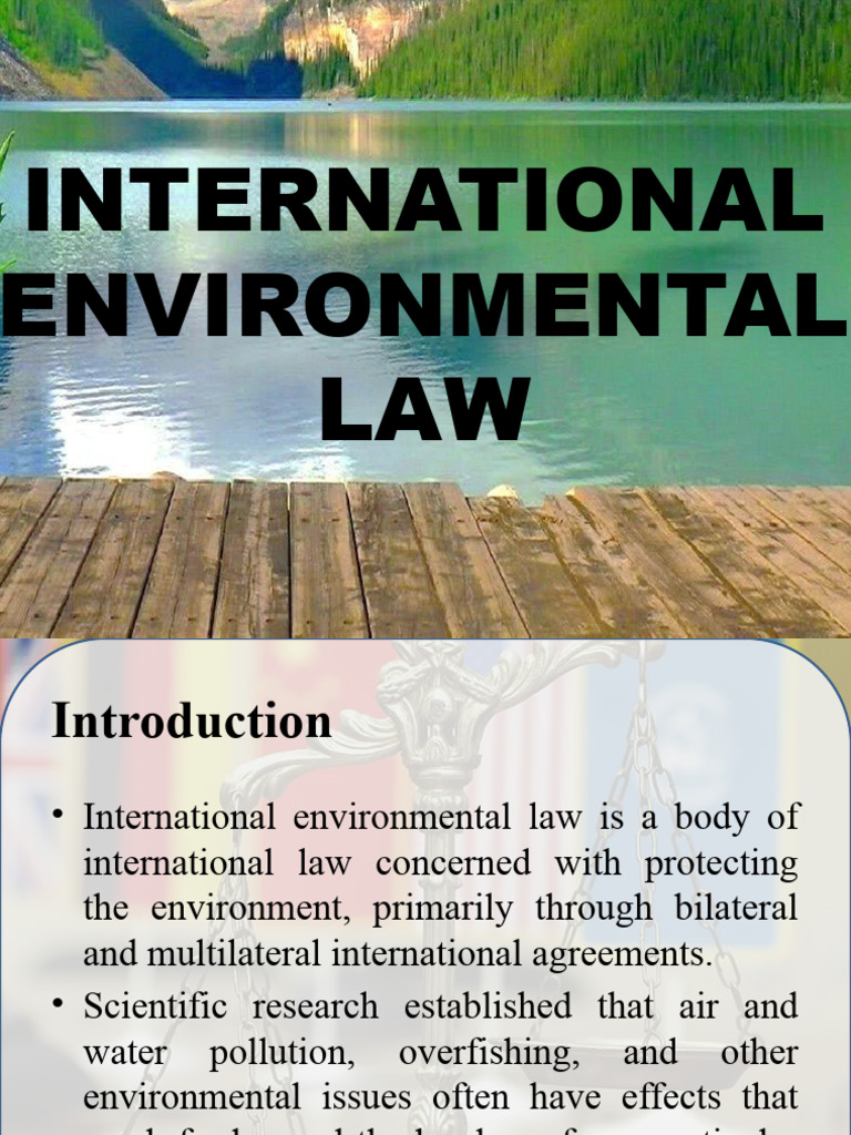 Overview of International Environmental Law | PDF | Environmental Law ...