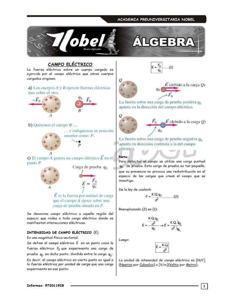Campo Electrico | PDF | Electricidad | Fuerza
