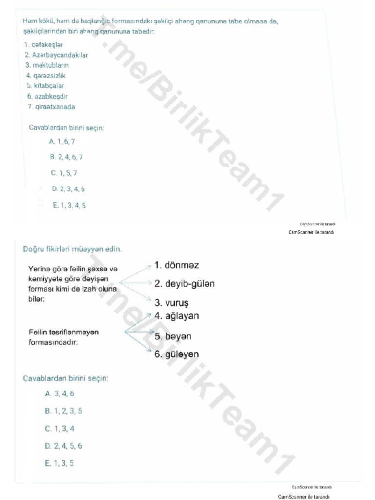 BirlikTeam 11ci Sinif Az Sektor | PDF
