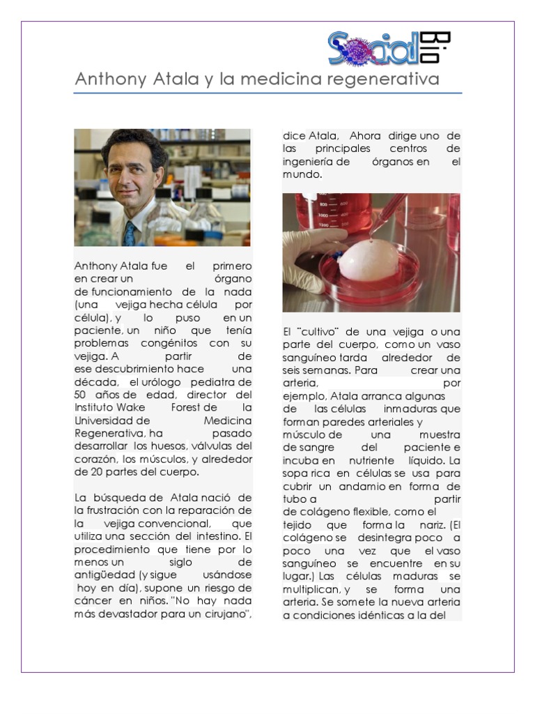 Anthony Atala y La Medicina Regenerativa | PDF | Ingeniería de tejidos ...