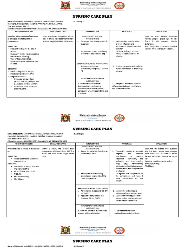 GROUP-3 (BSN 1K _Asynchronous Activity-Case Application for NCP Making | PDF | Nursing | Urination