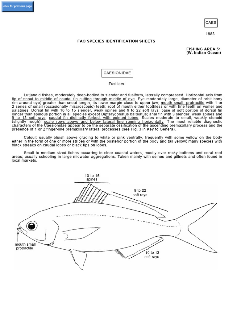 Fao Species Identification Sheets Fishing Area 51 (W. Indian Ocean ...