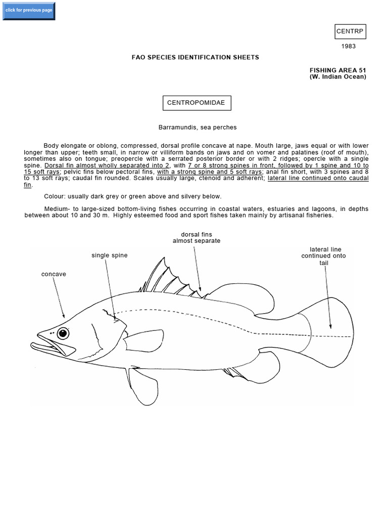 Fao Species Identification Sheets Fishing Area 51 (W. Indian Ocean ...