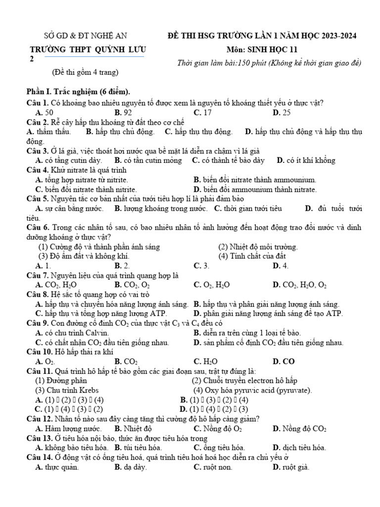 ĐỀ THI HSG 11 | PDF