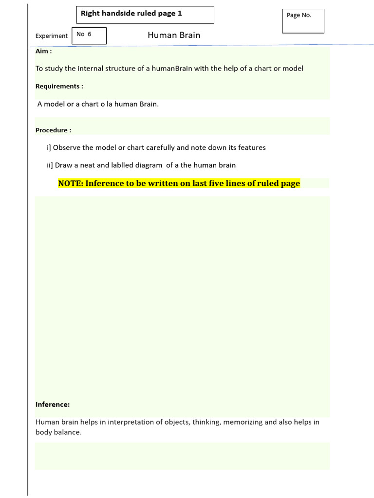 Experiment 6 Study of Human Brain | PDF | Human Brain | Cerebrum