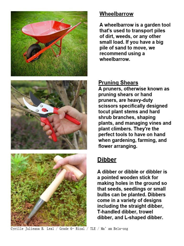 Assignment in Tle Gardening Tools | Download Free PDF | Pruning | Grafting