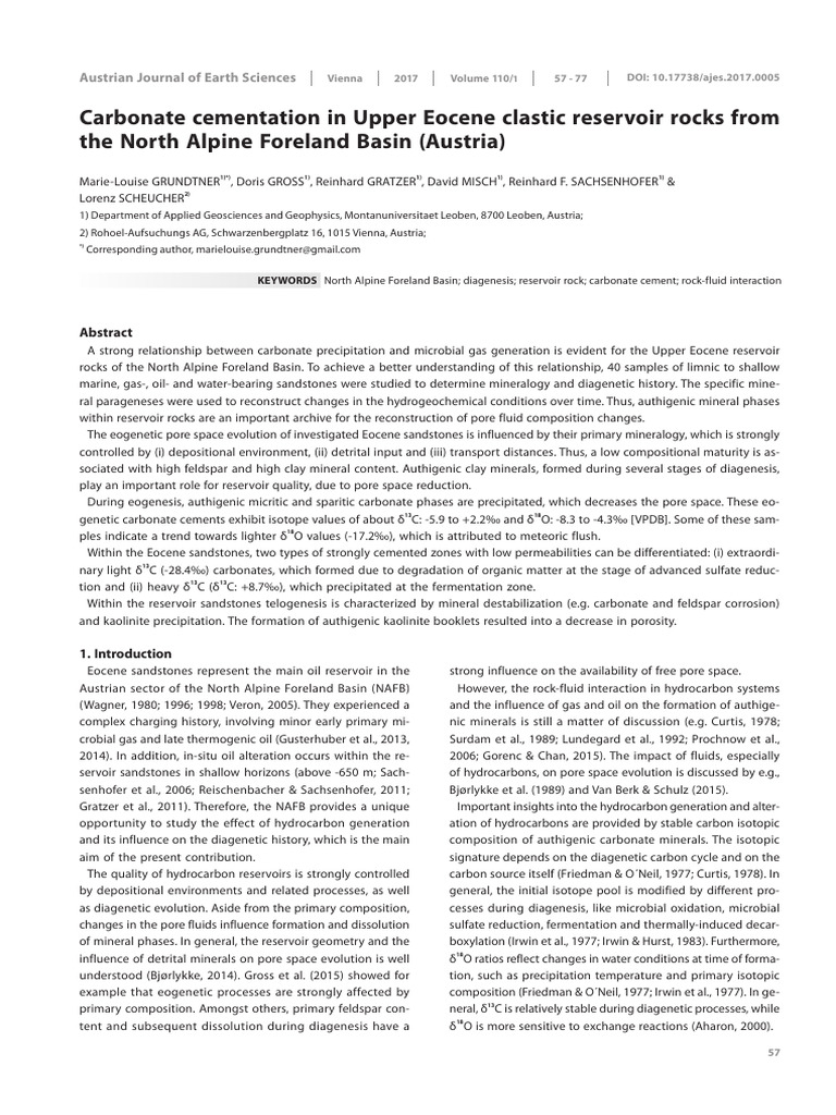 Carbonate Cementation in Upper Eocene Clastic Reservoir Rocks | PDF ...