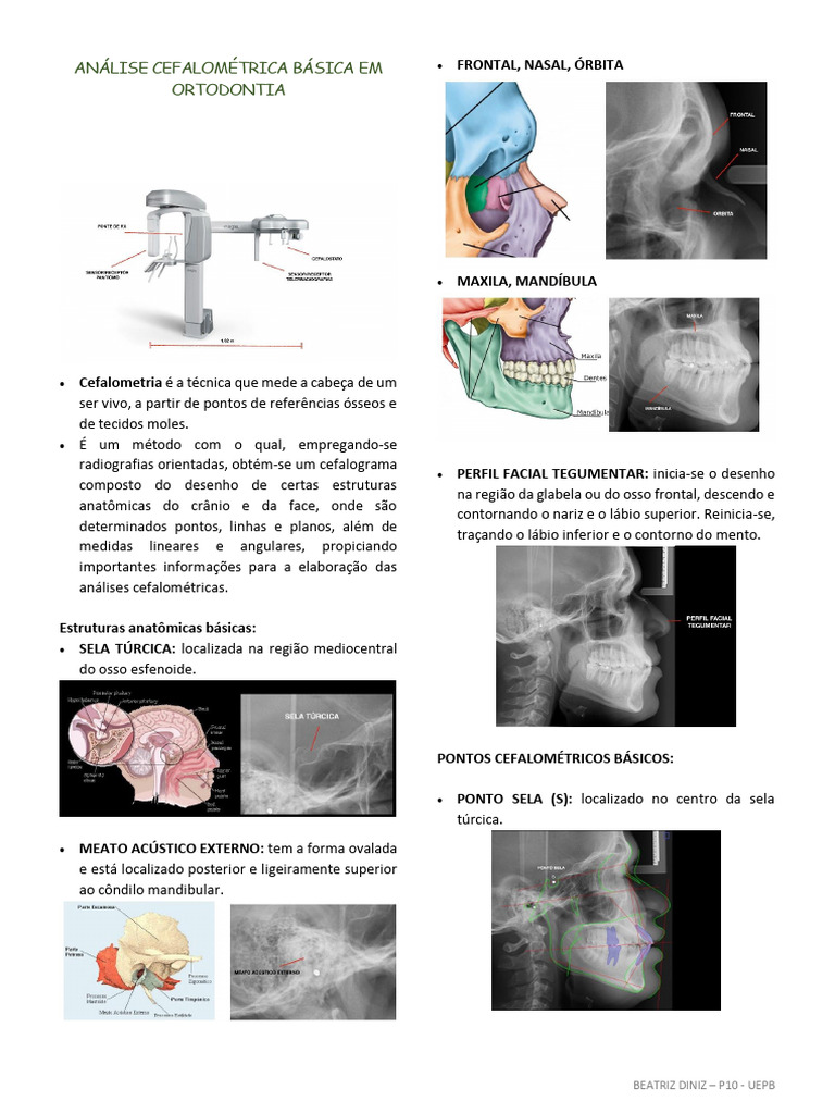 Resumo - Análise Cefalométrica Básica em Ortodontia | PDF | Inclinação ...