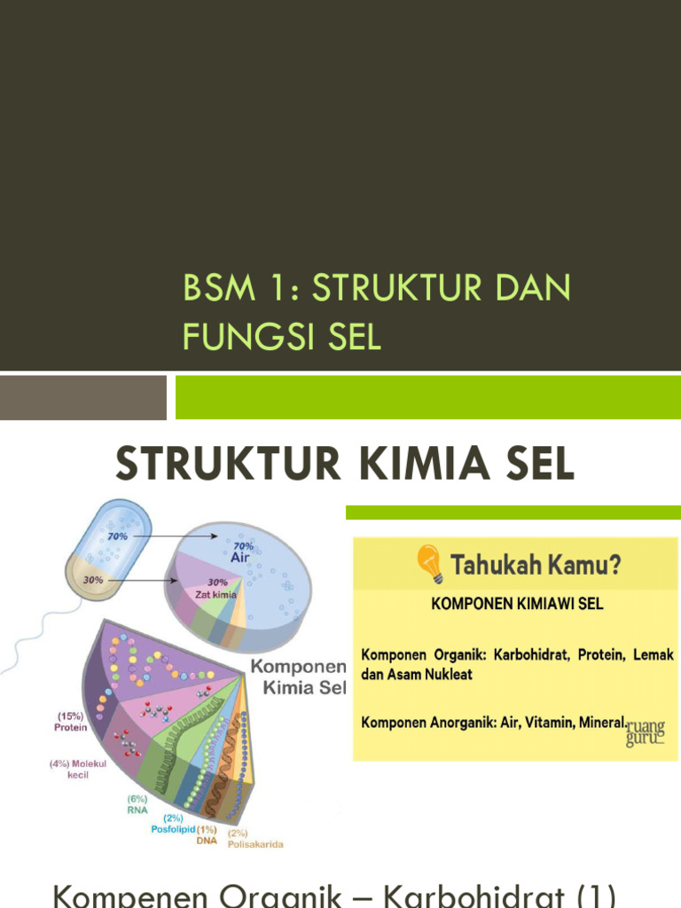 Osn-Bsm 1 Struktur Sel | PDF | Kesehatan Holistik | Sains & Matematika