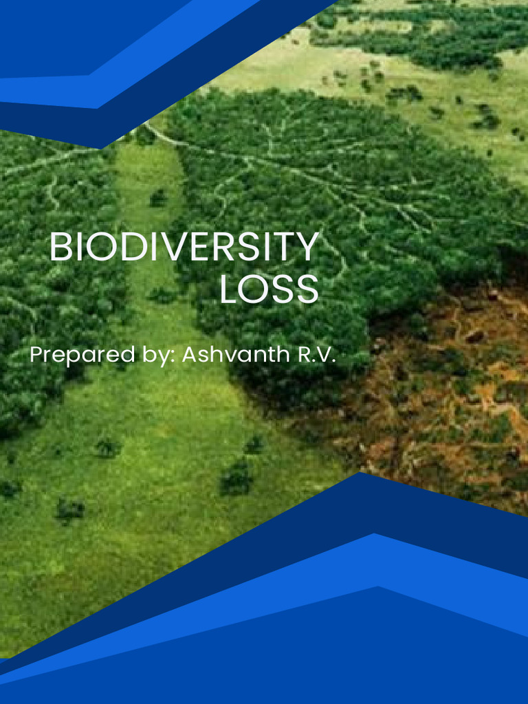 Biodiversity Loss | PDF