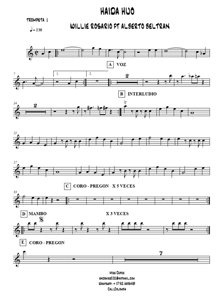 Willy Rosario - Haida Huo | PDF