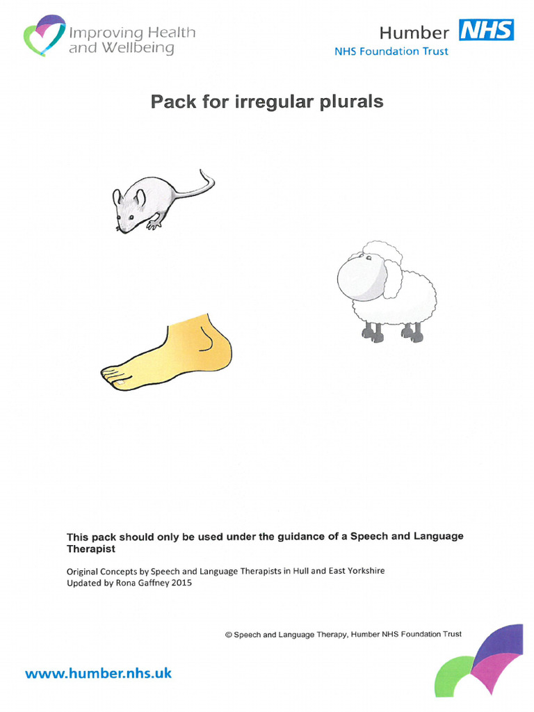 Pack For Irregular Plurals | PDF